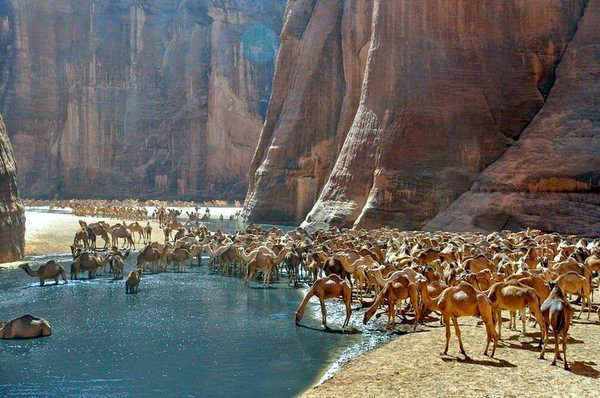 Best National Parks in Egypt | Egypt Tour Packages